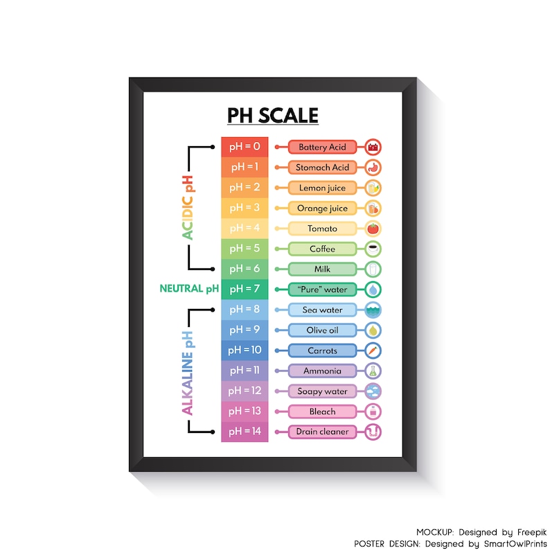 PH SCALE POSTER Educational Poster Science Poster for Kids | Etsy