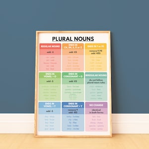 PLURAL NOUNS POSTER, Grammar Chart for Homeschool, Classroom Wall Decor ...