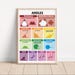 ANGLES TYPES POSTER, Types of Angles, Geometry, Educational Posters ...