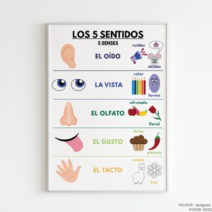 Spanish Language, FIVE SENSES POSTER, Educational Posters, Hearing ...