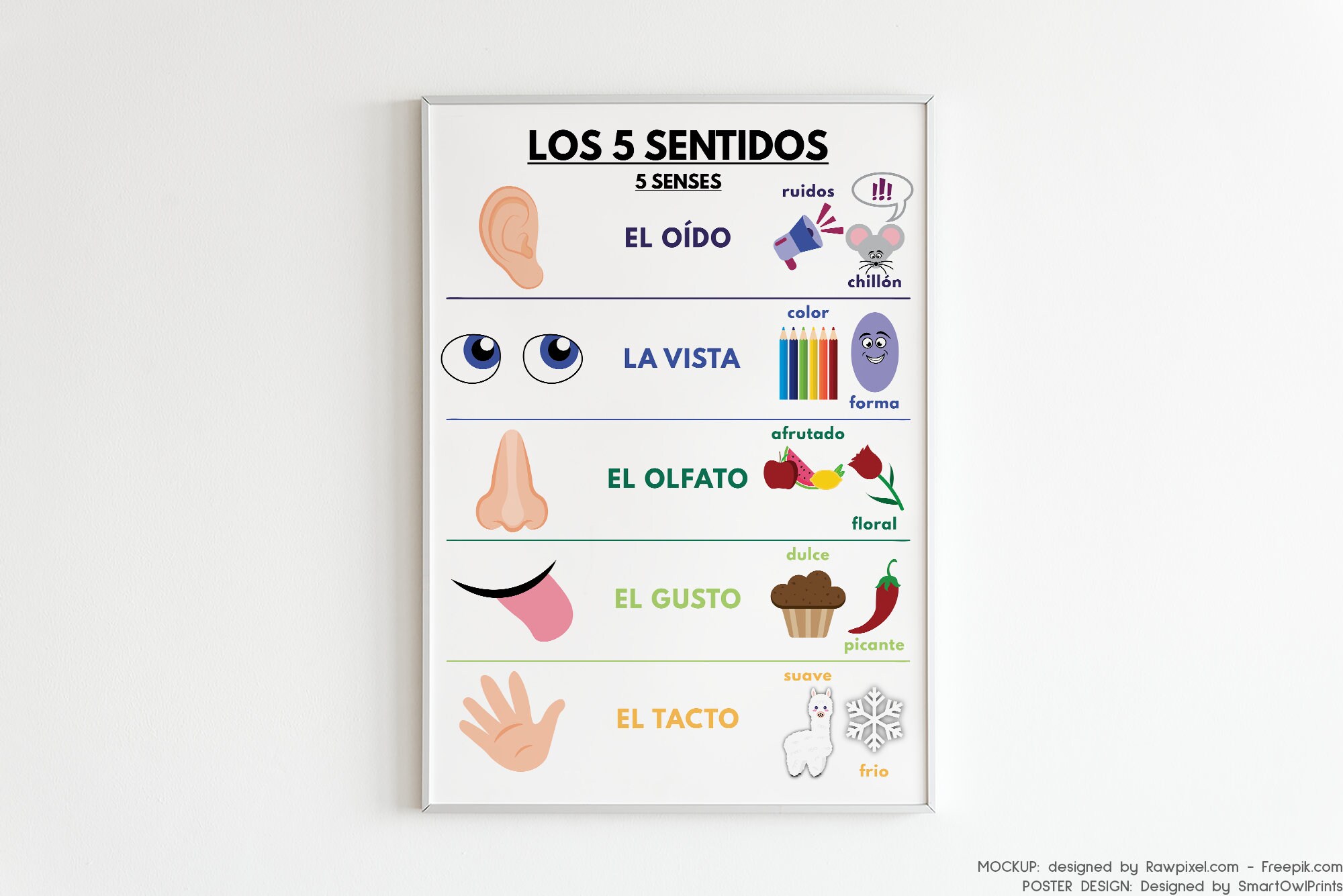 Spanish Language, FIVE SENSES POSTER, Educational Posters, Hearing ...