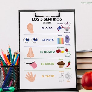 Spanish Language, FIVE SENSES POSTER, Educational Posters, Hearing ...