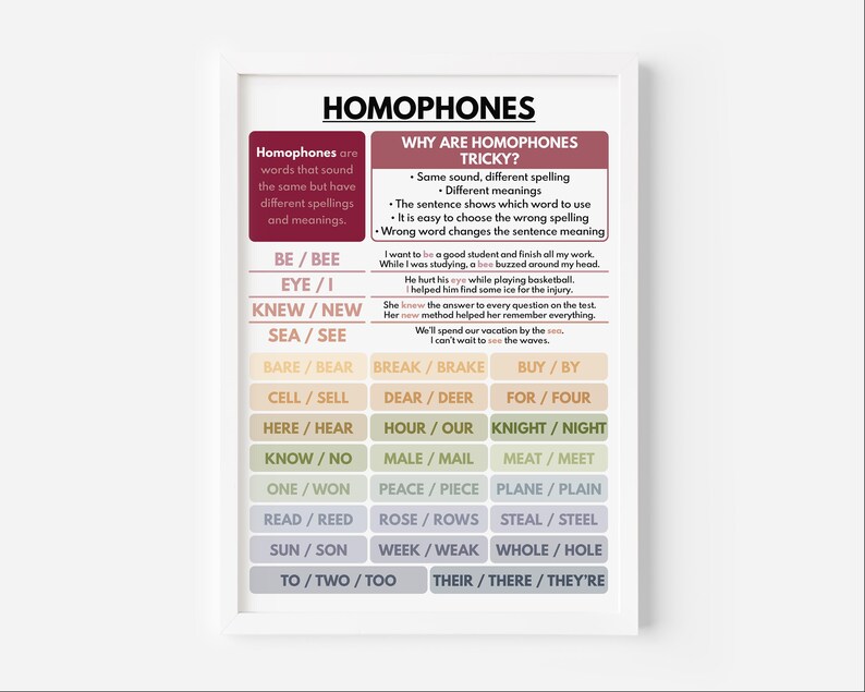 HOMOPHONES POSTER, English Language, Grammar Chart, Correct Spelling ...