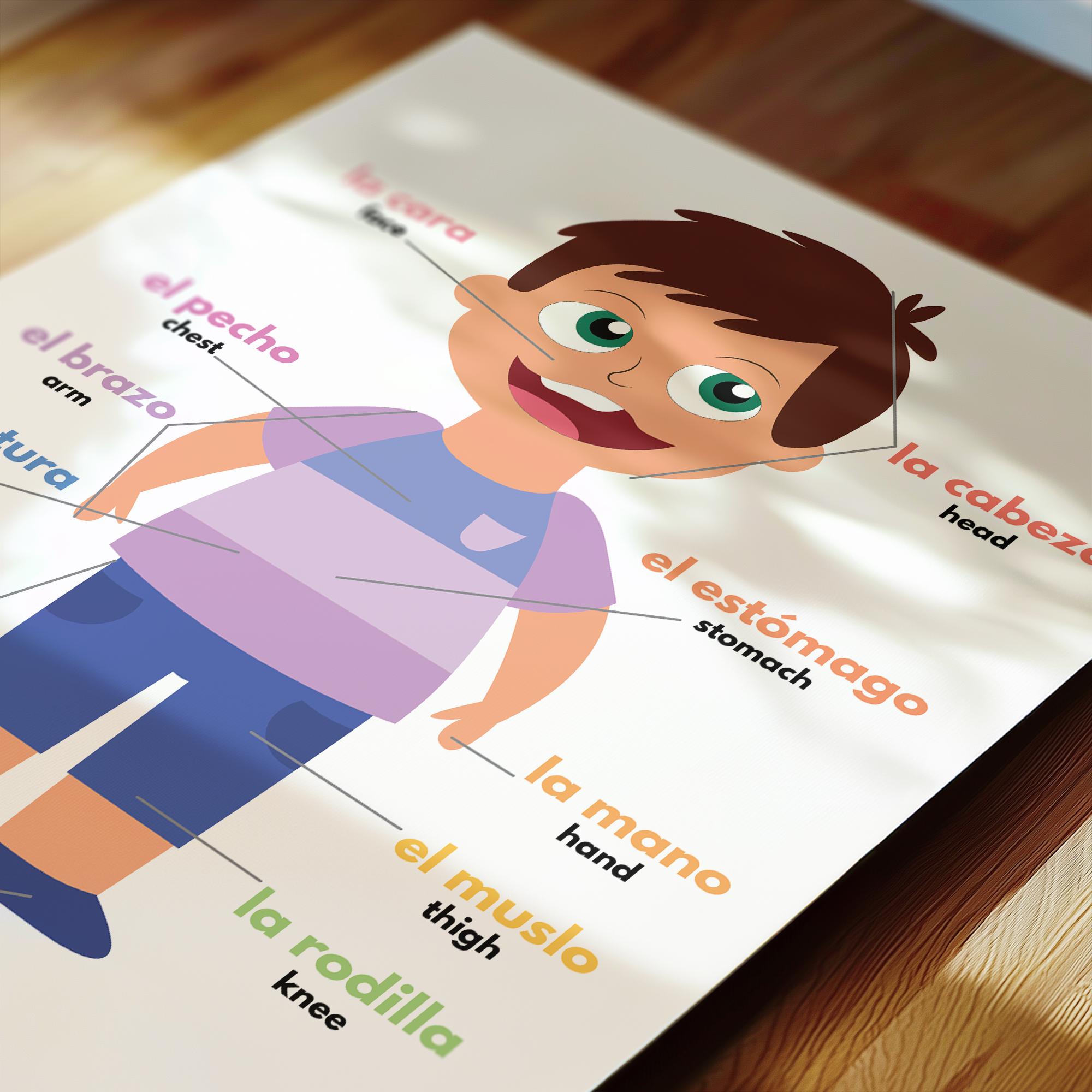 Spanish Language, BODY PARTS in Spanish, Face, Spanish Nouns, Spanish ...