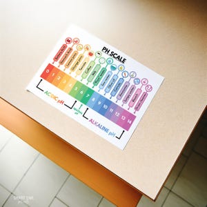 PH SCALE POSTER, Educational Posters, Science Poster for Kids, Visual ...