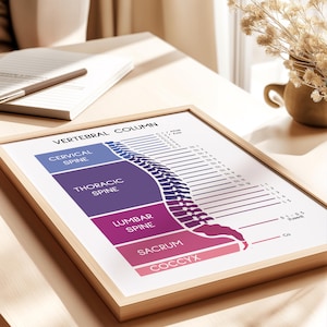 SPINE POSTER, Spinal Column, Human Spine, Anatomy Art, Vertebral Column ...