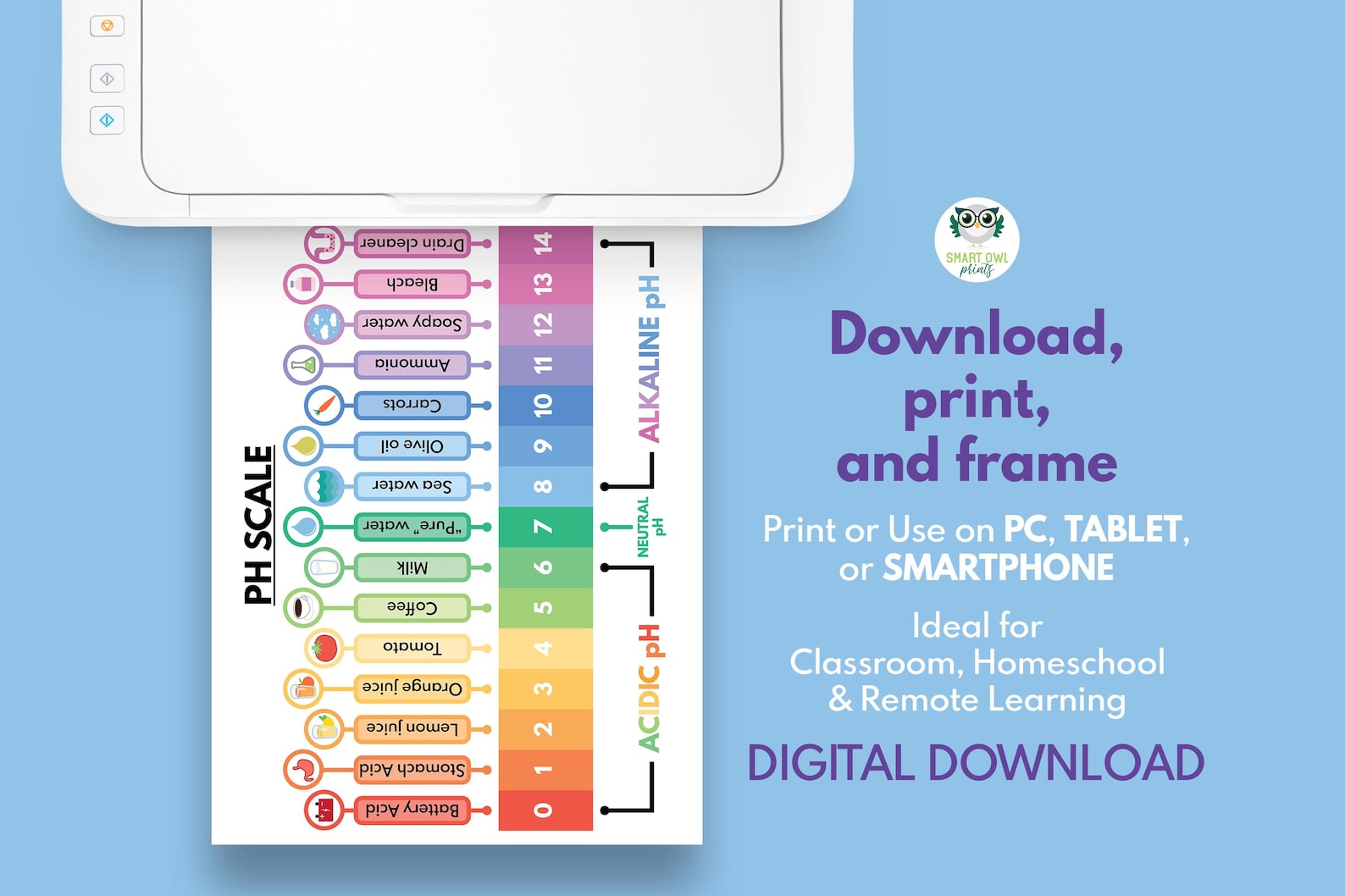 PH SCALE POSTER, Educational Posters, Science Poster for Kids, Visual ...