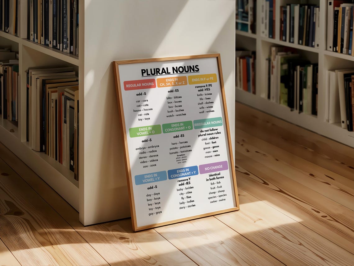 PLURAL NOUNS POSTER, Grammar Chart for Homeschool, Classroom Wall Decor ...