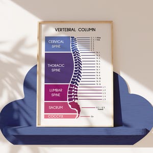 SPINE POSTER, Spinal Column, Human Spine, Anatomy Art, Vertebral Column ...