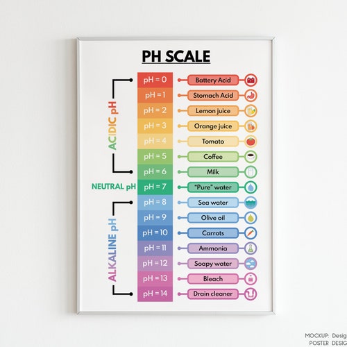 PH SCALE POSTER Educational Poster Science Poster for Kids | Etsy