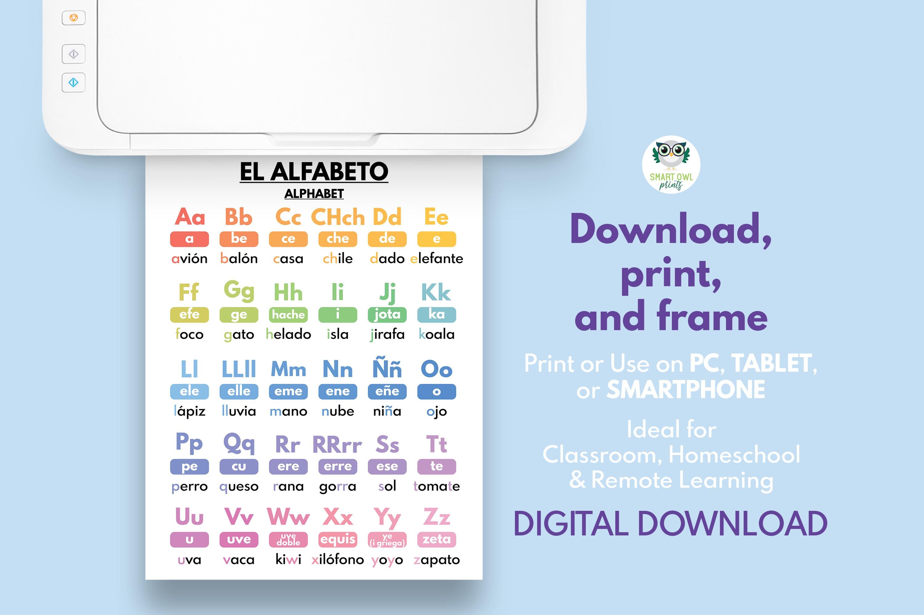 Spanish Alphabet Educational Laminated Chart Buy ABC Alphabet Spanish