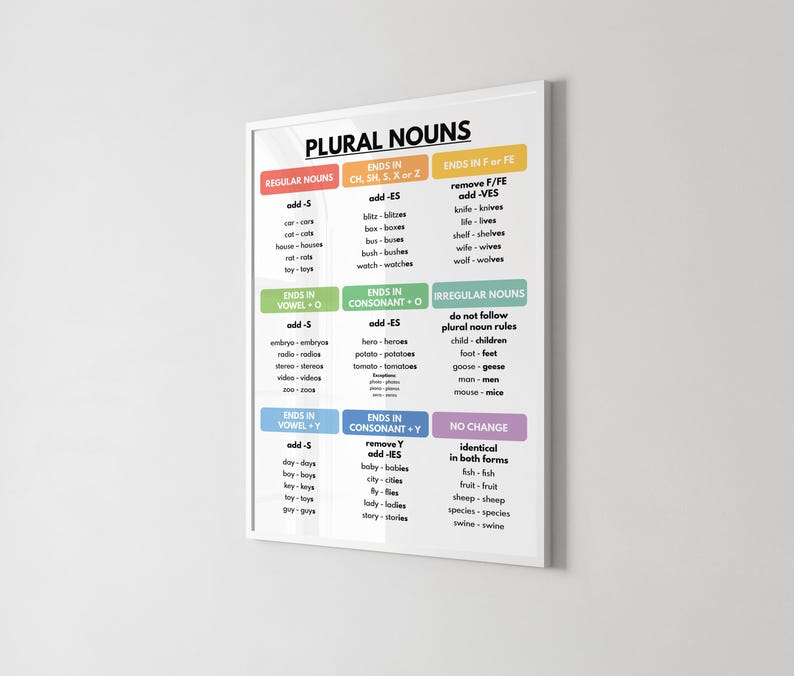 PLURAL NOUNS POSTER, Grammar Chart for Homeschool, Classroom Wall Decor ...
