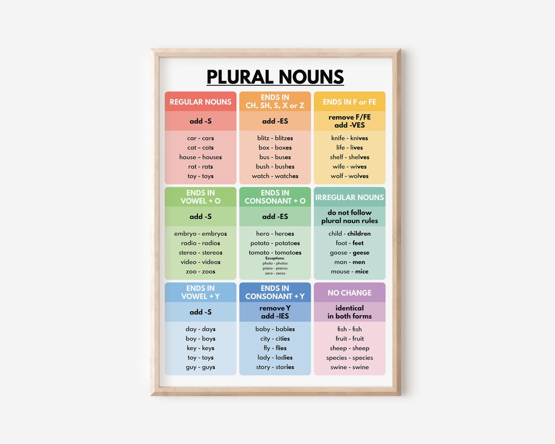 PLURAL NOUNS POSTER, Grammar Chart for Homeschool, Classroom Wall Decor ...