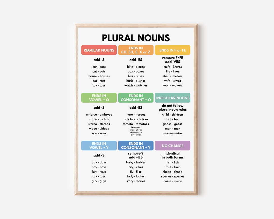 PLURAL NOUNS POSTER, Grammar Chart for Homeschool, Classroom Wall Decor ...