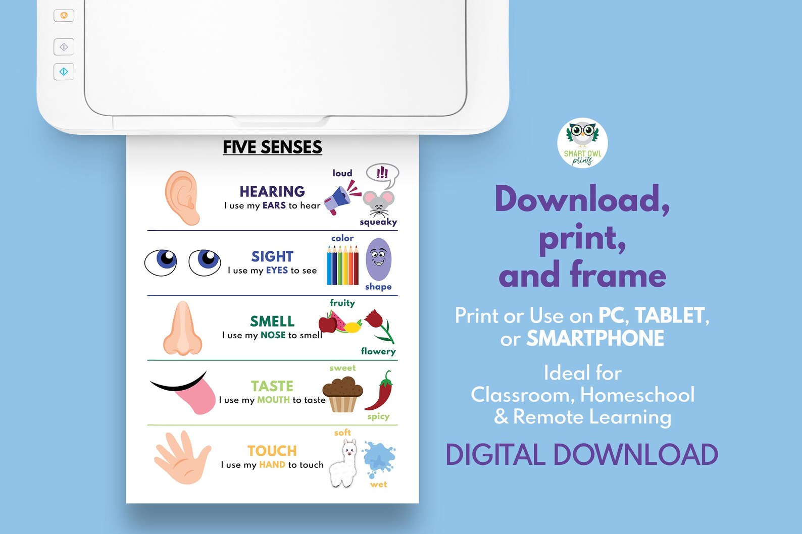 FIVE SENSES Poster, Educational Posters, Hearing Sight Smell Taste ...