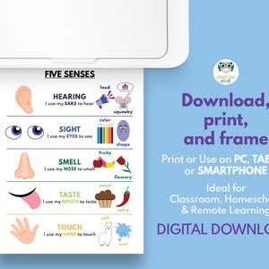 FIVE SENSES Poster, Educational Posters, Hearing Sight Smell Taste ...