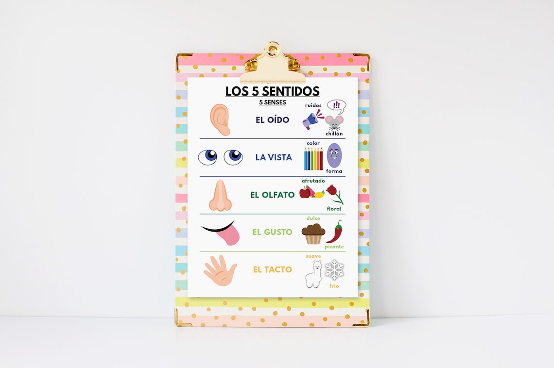 Spanish Language, FIVE SENSES POSTER, Educational Posters, Hearing ...