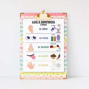 Spanish Language, FIVE SENSES POSTER, Educational Posters, Hearing ...