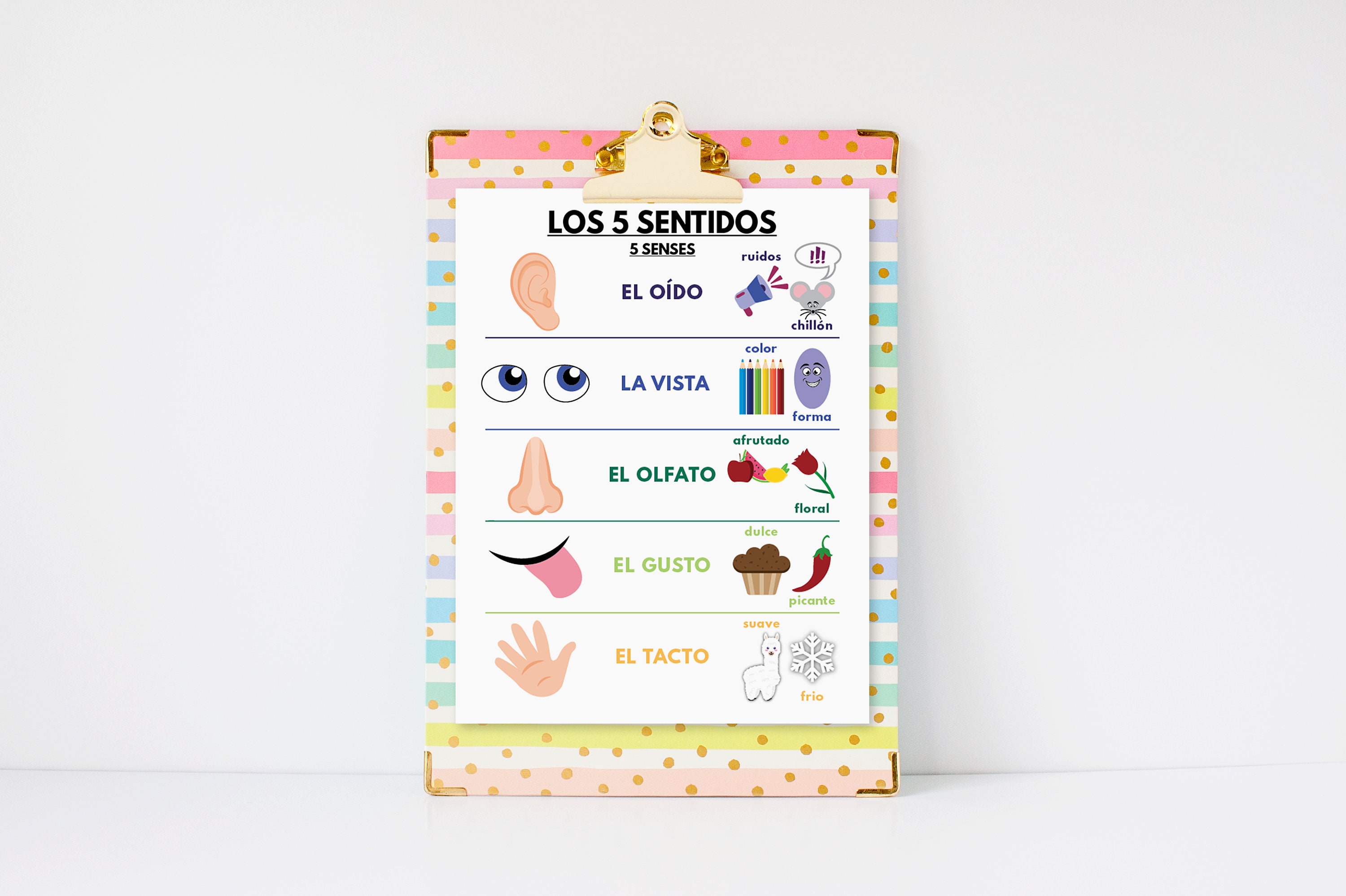 Spanish Language, FIVE SENSES POSTER, Educational Posters, Hearing ...