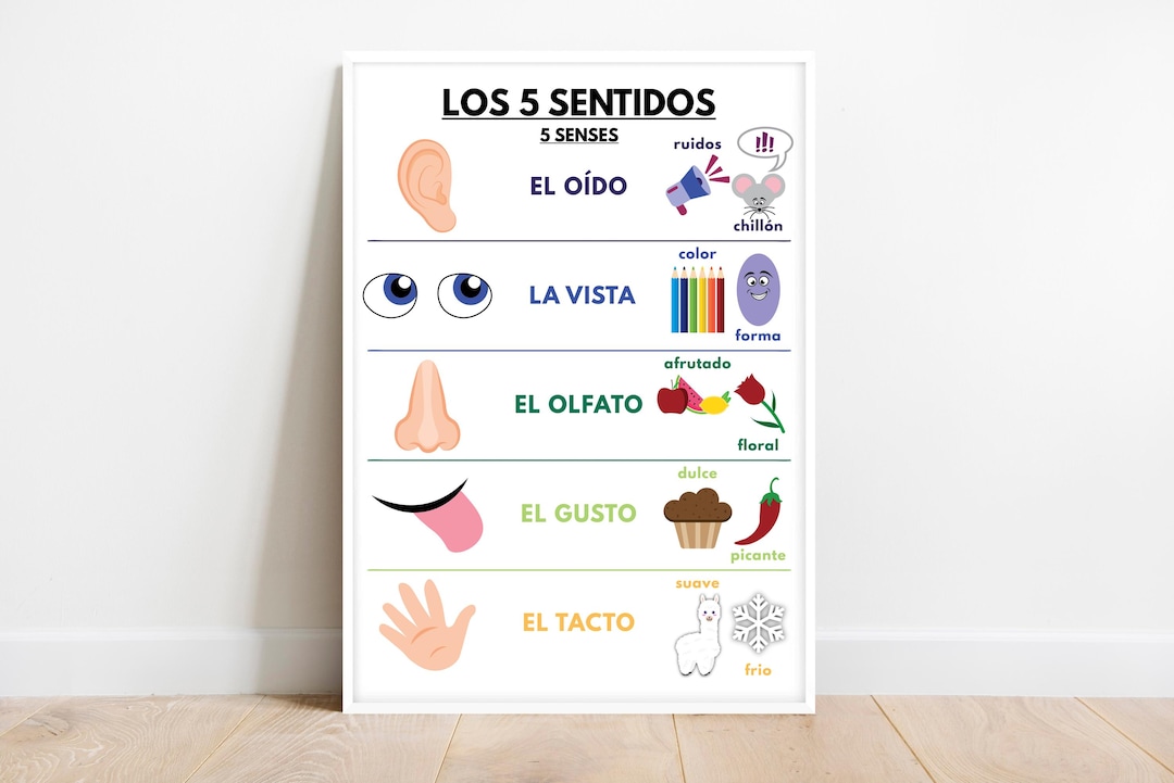 Spanish Language, FIVE SENSES POSTER, Educational Posters, Hearing ...