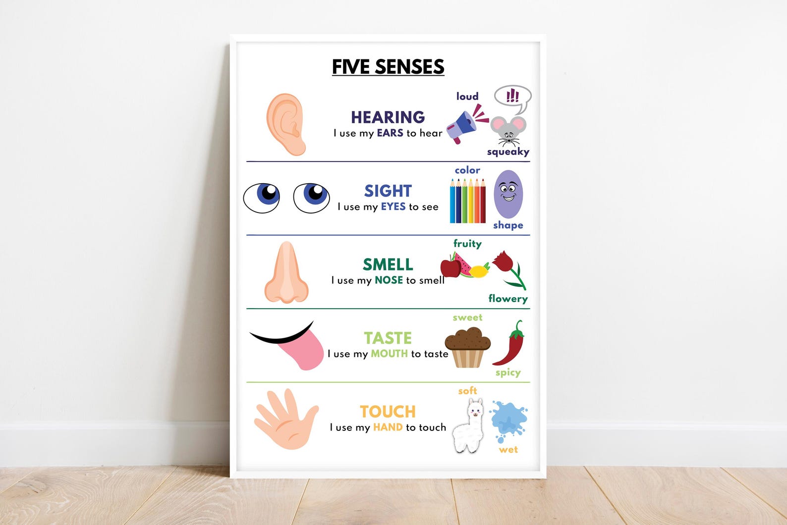 FIVE SENSES Poster, Educational Posters, Hearing Sight Smell Taste ...