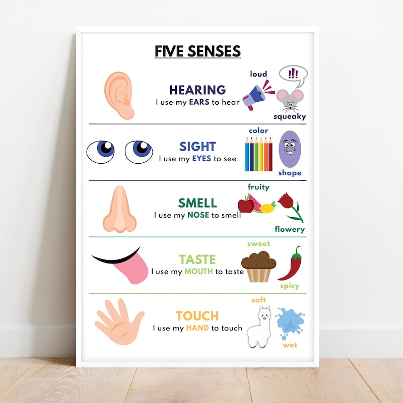Five Senses Poster - Etsy