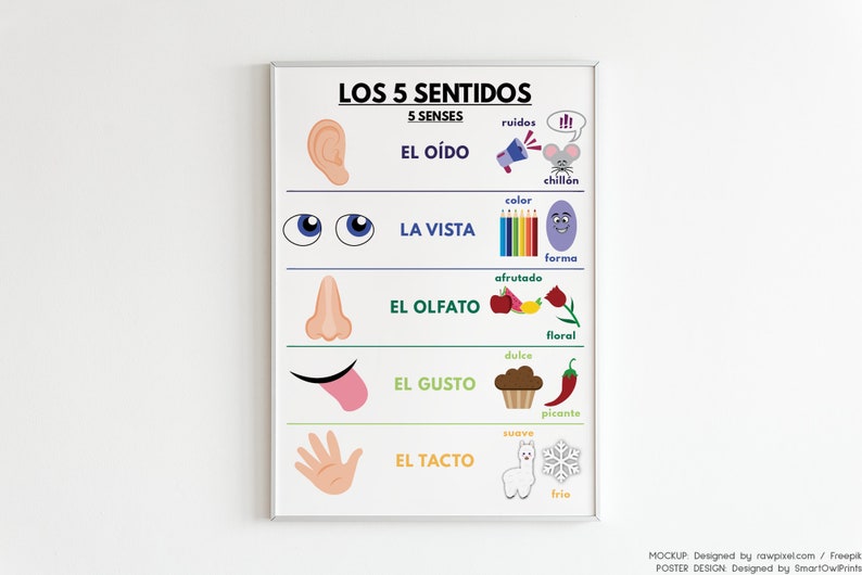 Spanish Language FIVE SENSES POSTER Educational Posters - Etsy