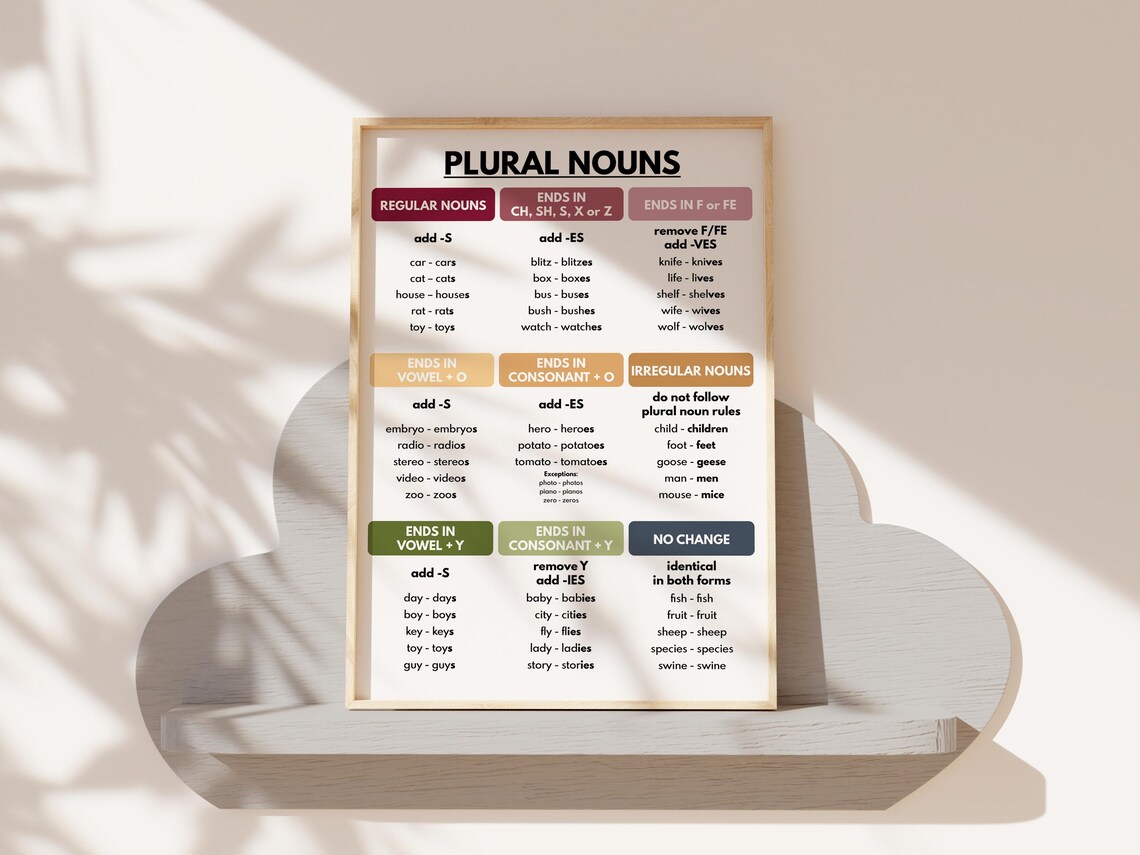 Plural Nouns Grammar Poster: Homeschool Classroom Decor (digital ...