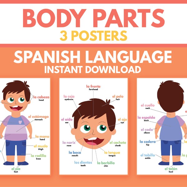 Body Parts in Spanish Poster - Etsy