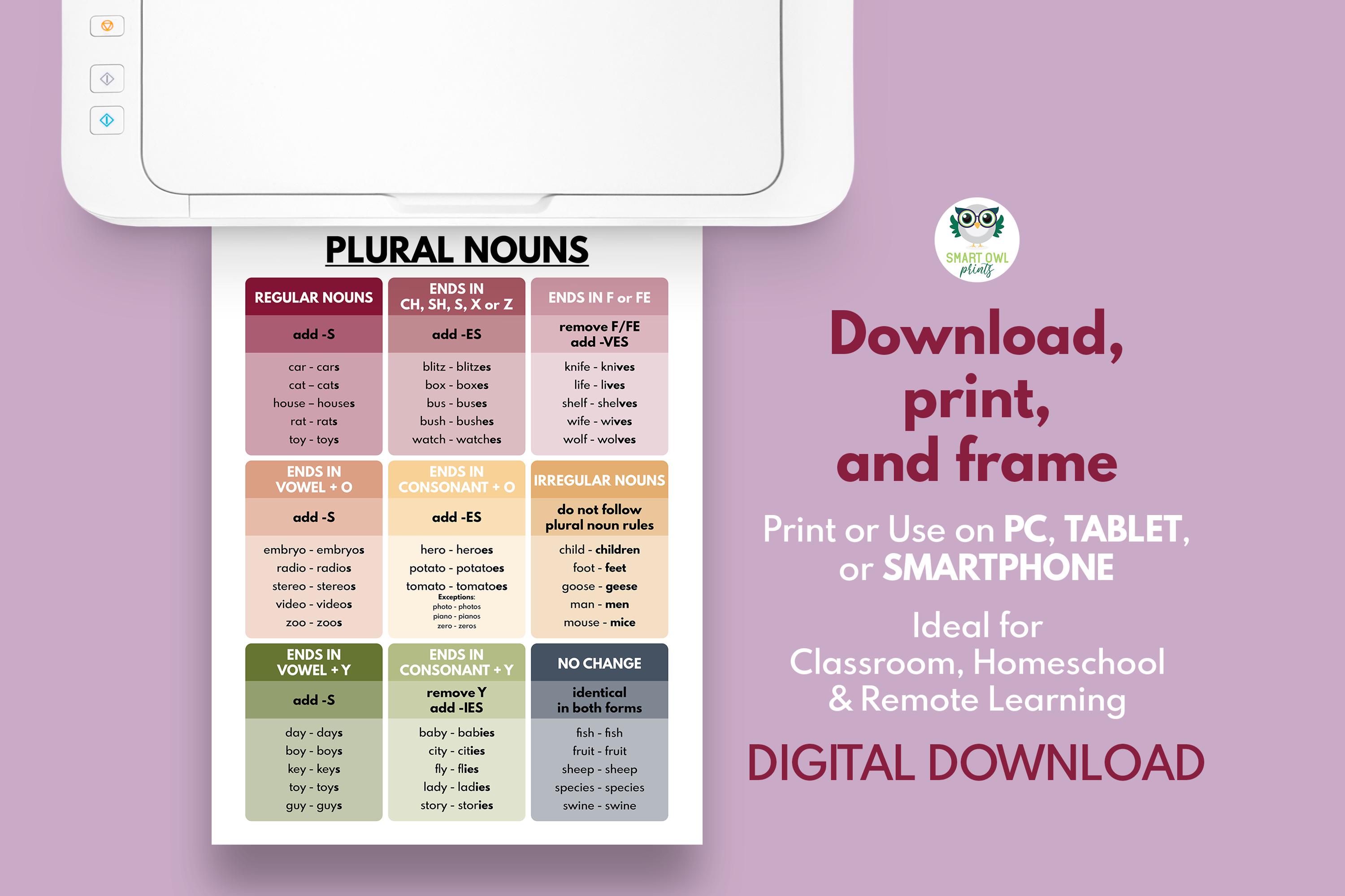 PLURAL NOUNS POSTER, Grammar Rules Chart for Homeschool, Classroom Wall ...
