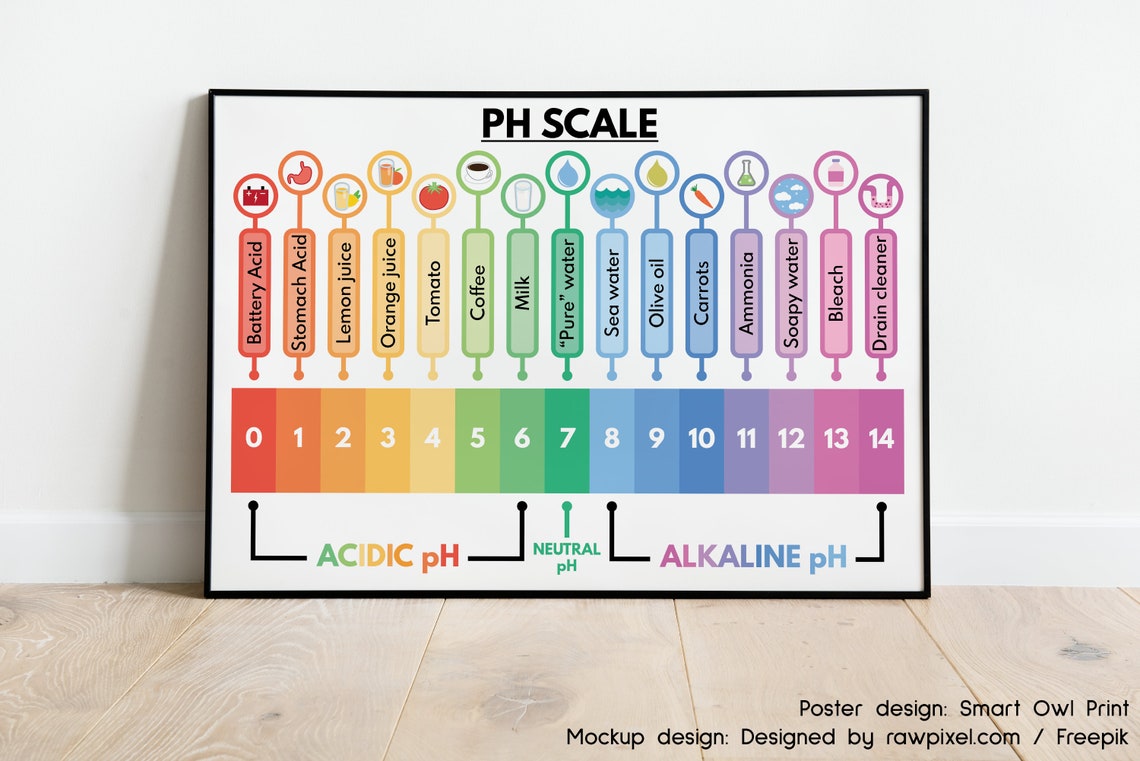 PH SCALE POSTER, Educational Posters, Science Poster for Kids, Visual ...