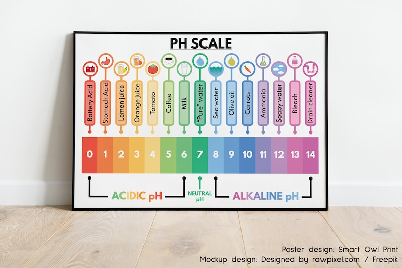 PH SCALE POSTER, Educational Posters, Science Poster for Kids, Visual ...
