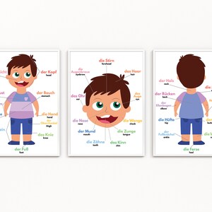 German Language, BODY PARTS - Set of 3 Posters, German Vocabulary ...