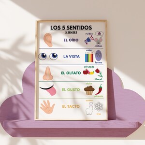 Spanish Language, FIVE SENSES POSTER, Educational Posters, Hearing ...