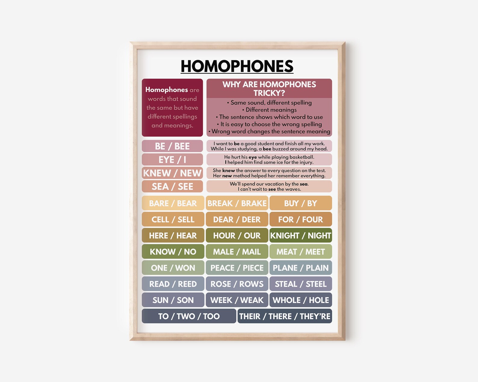 HOMOPHONES POSTER, English Language, Grammar Chart, Correct Spelling ...