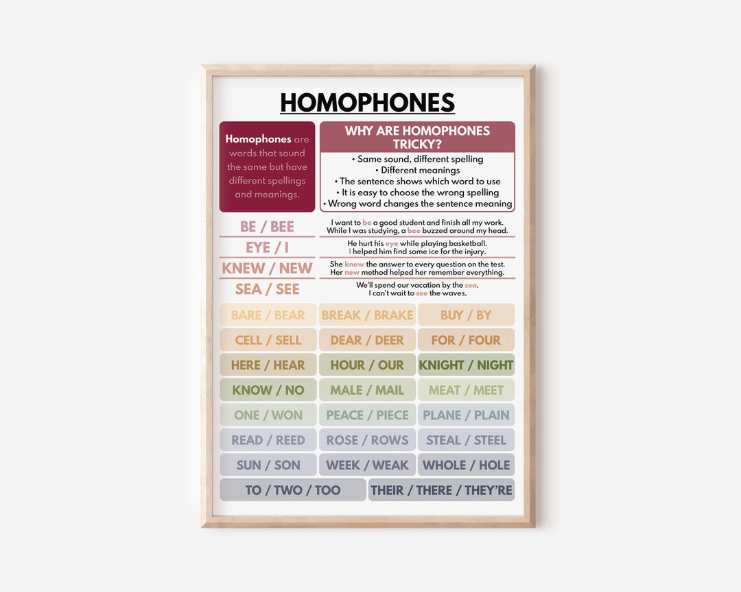 HOMOPHONES POSTER, English Language, Grammar Chart, Correct Spelling ...