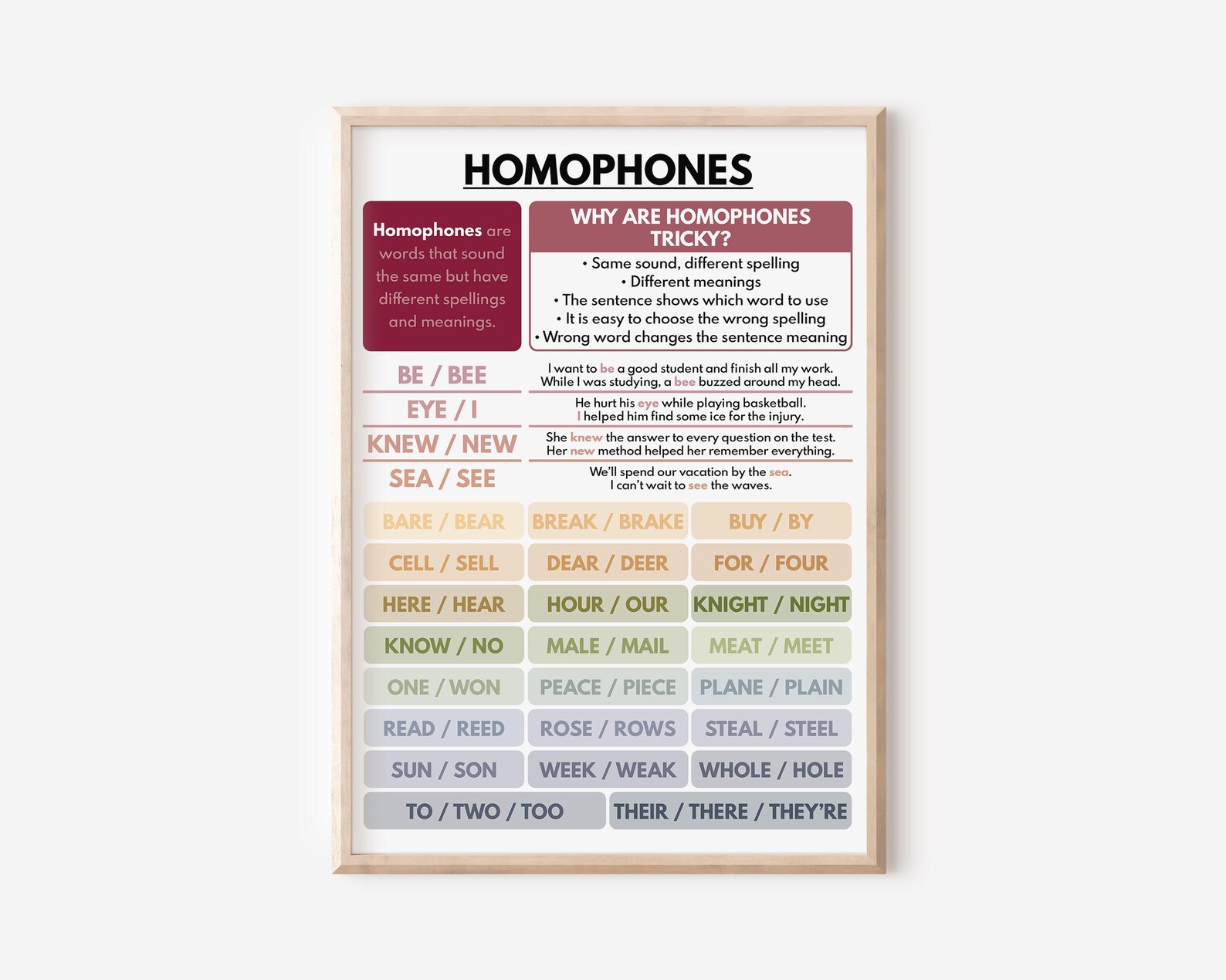 HOMOPHONES POSTER, English Language, Grammar Chart, Correct Spelling, Homeschool & Classroom ...