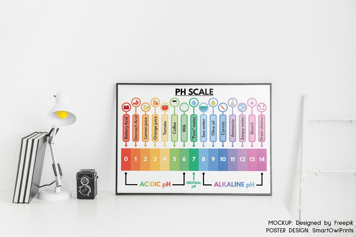 PH SCALE POSTER, Educational Posters, Science Poster for Kids, Visual ...