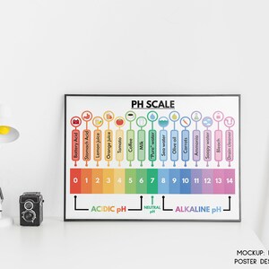 PH SCALE POSTER, Educational Posters, Science Poster for Kids, Visual ...