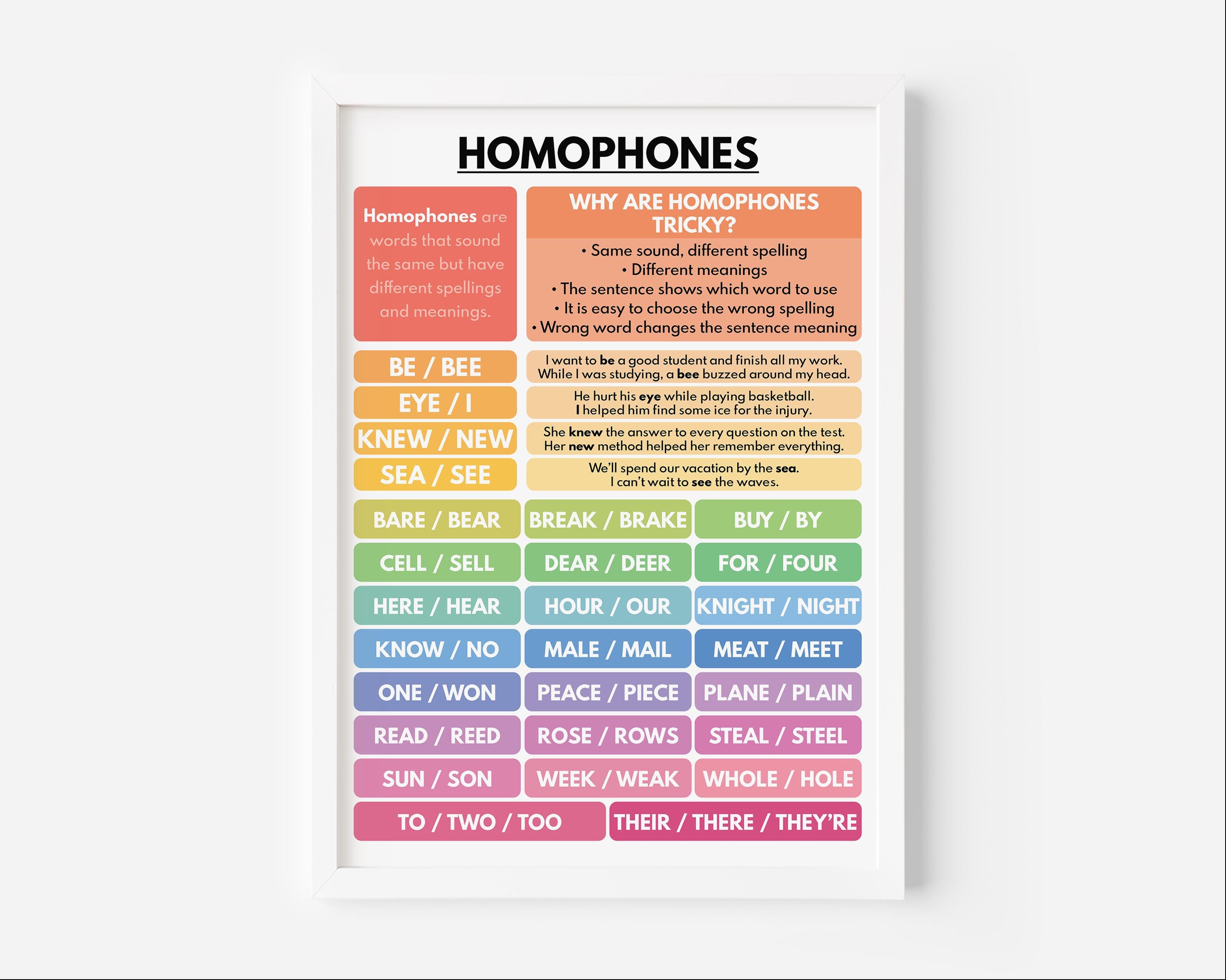 HOMOPHONES POSTER, English Language, Grammar Chart, Correct Spelling ...
