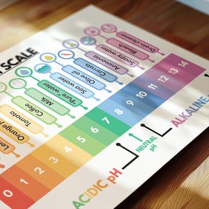 PH SCALE POSTER, Educational Posters, Science Poster for Kids, Visual ...