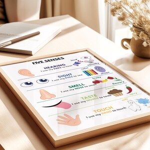 FIVE SENSES Poster, Educational Posters, Hearing Sight Smell Taste ...