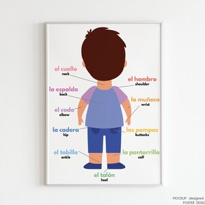 Spanish Language, BODY PARTS in Spanish, Face, Spanish Nouns, Spanish ...