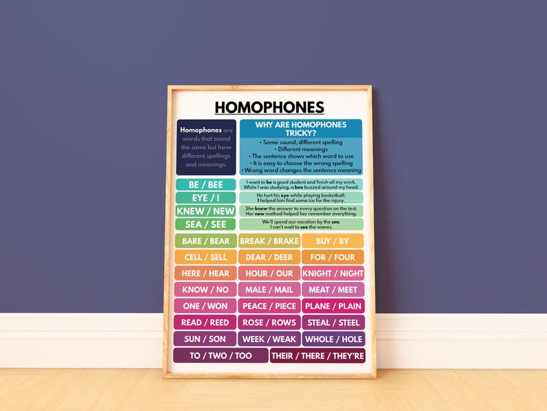 HOMOPHONES POSTER, English Language, Grammar Chart, Correct Spelling ...