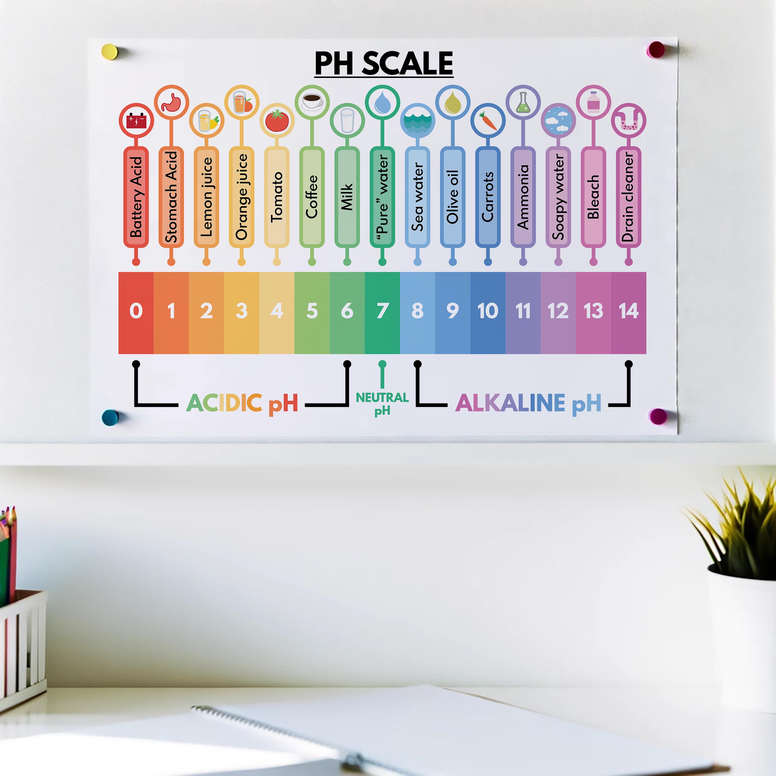 PH SCALE POSTER, Educational Posters, Science Poster for Kids, Visual ...