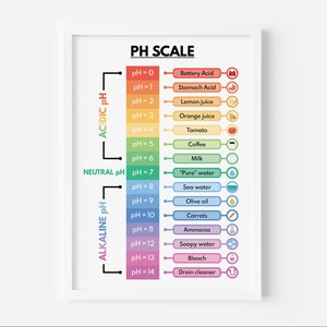 PH SCALE POSTER, Educational Poster, Science Poster for Kids, Math ...
