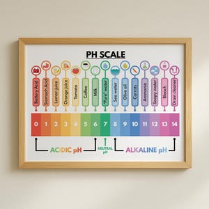 PH SCALE POSTER, Educational Posters, Science Poster for Kids, Visual ...