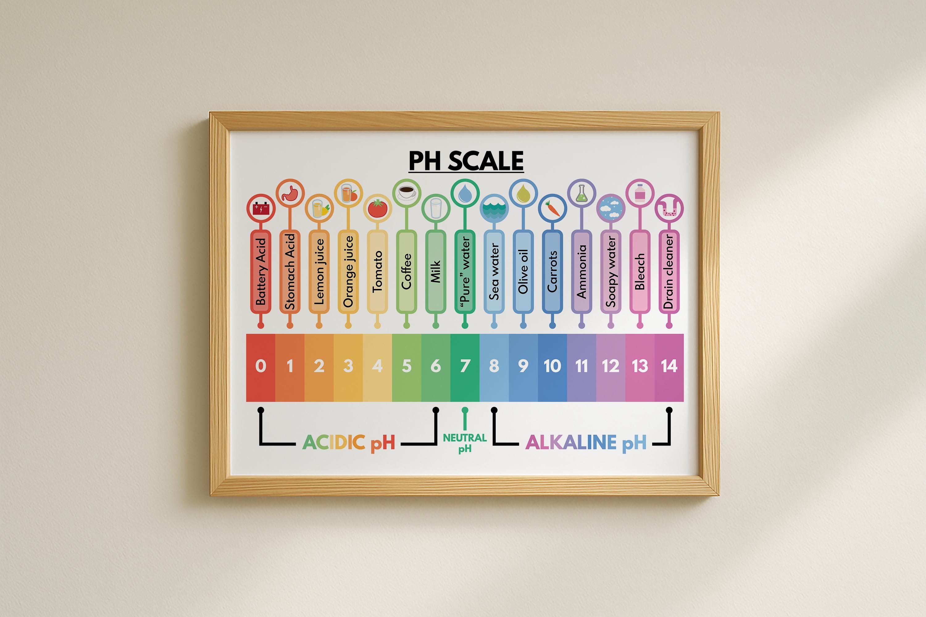 PH SCALE POSTER, Educational Posters, Science Poster for Kids, Visual ...