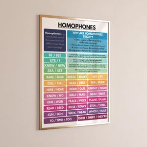 HOMOPHONES POSTER, English Language, Grammar Chart, Correct Spelling ...