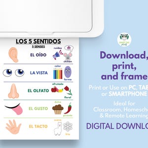 Spanish Language, FIVE SENSES POSTER, Educational Posters, Hearing ...